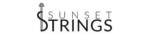 Sunset Strings - Marry Me Tampa Bay | Most Trusted Wedding Vendor ...